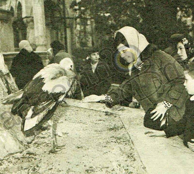 Figen Say İlk Cumayı Böyle Geçirdi - Tozlu Magazin