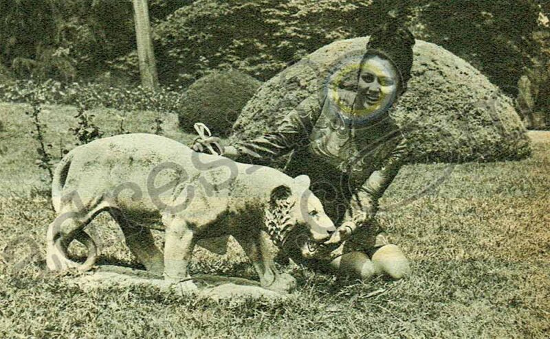 Sema Özcan Soruları Yanıtladı - Tozlu Magazin