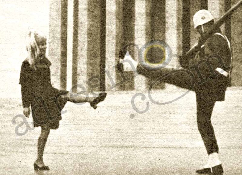 Genel Sekreter Peri-Han - Tozlu Magazin